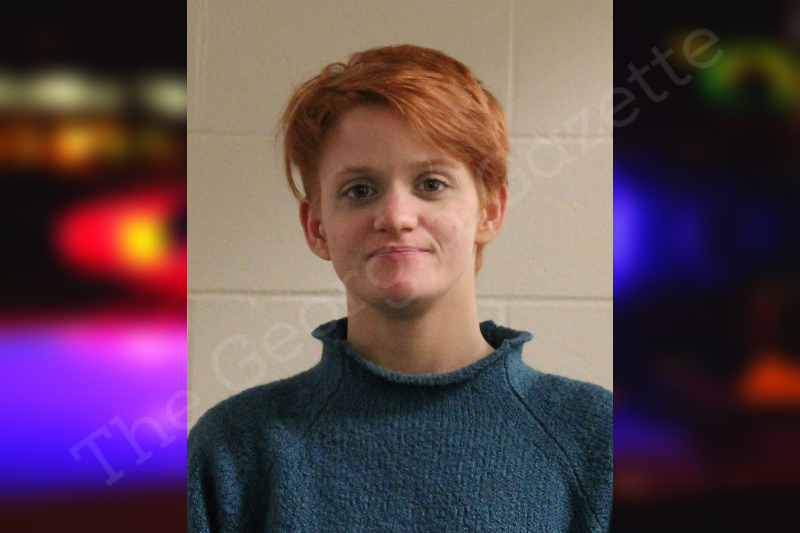 Tika Johns — Houston County Jail Bookings