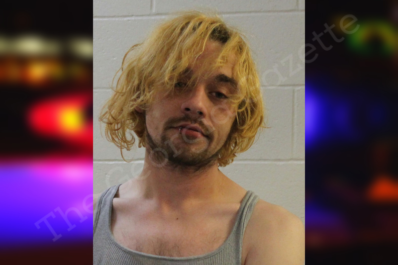 Matthew Winstead — Houston County Jail Bookings