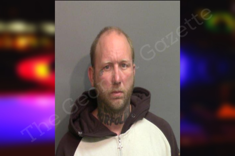David Gayle — Glynn County Jail Bookings