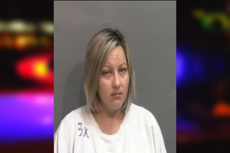 Julie Hutson — Glynn County Jail Bookings