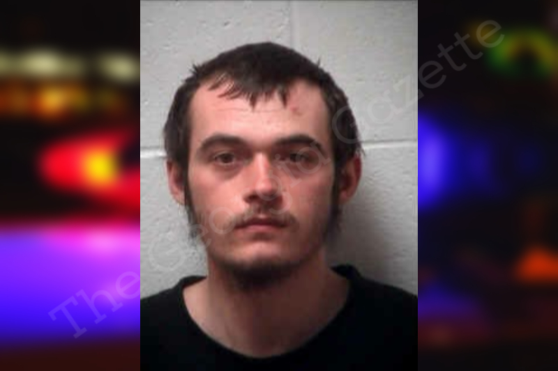 Jacob Stubbs — Henry County Jail Bookings