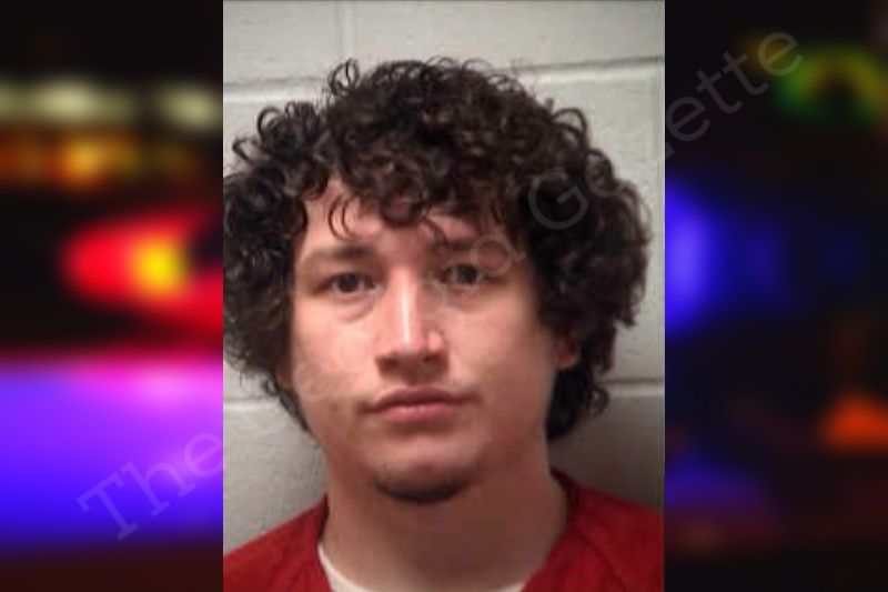 Samuel Berry — Henry County Jail Bookings