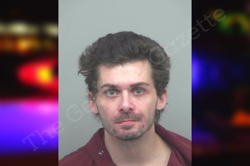 Daniel Erwin — Gwinnett County Jail Bookings