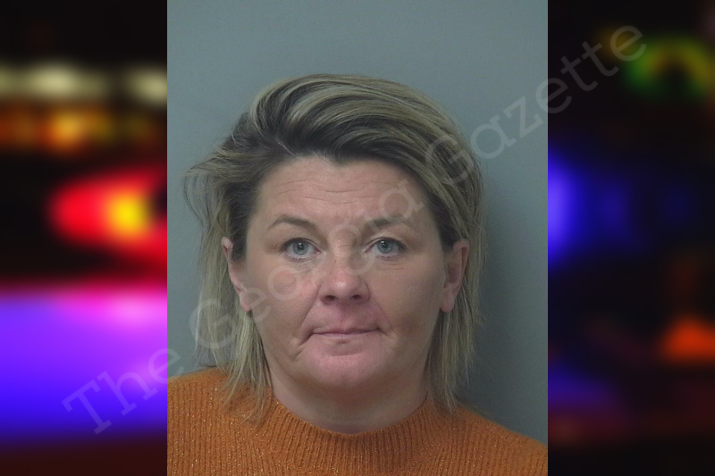 Wendy Sharp — Gwinnett County Jail Bookings