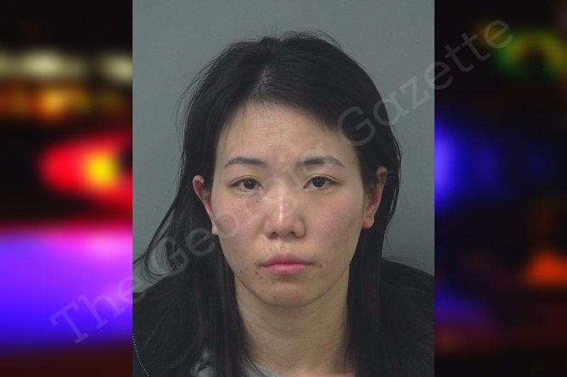 Lin Zheng — Gwinnett County Jail Bookings