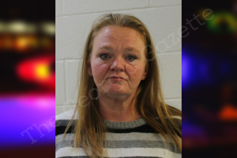 Jennifer Brown — Houston County Jail Bookings