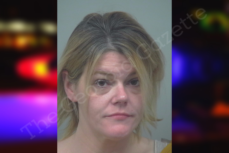 Jessica Fleming — Gwinnett County Jail Bookings