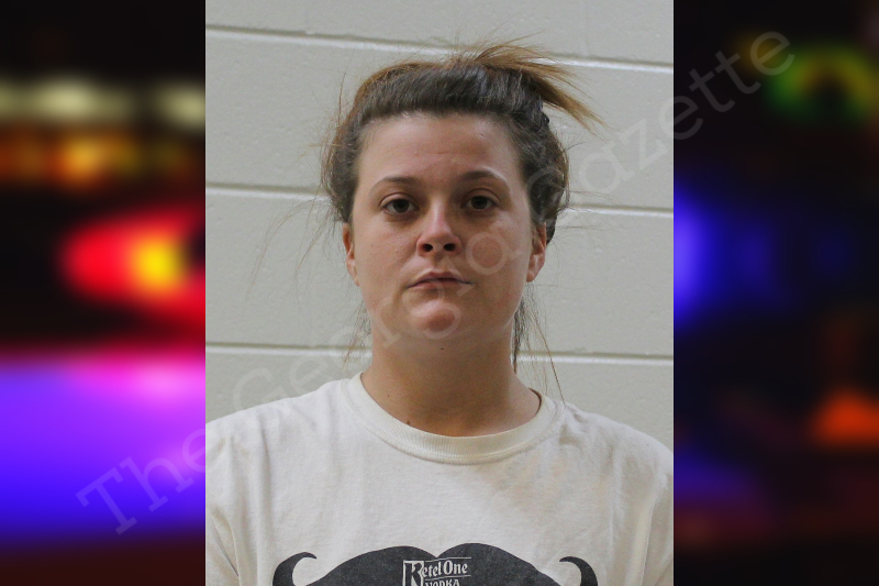 Jessica Gilliam — Houston County Jail Bookings