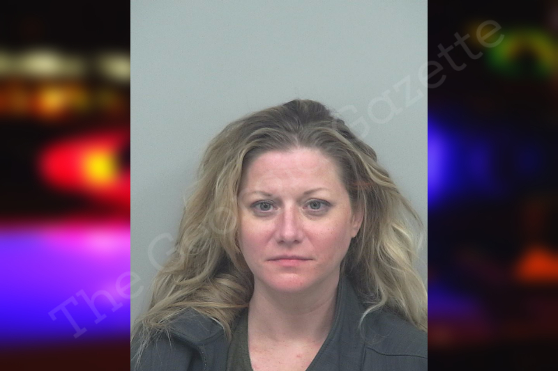Allison Groves — Gwinnett County Jail Bookings