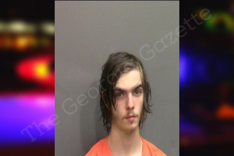 Nathan Geiser — Glynn County Jail Bookings