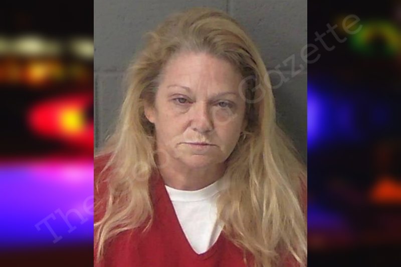 Michelle Hamilton — Newton County Jail Bookings