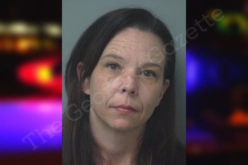 Leslie Johnson | Gwinnett County