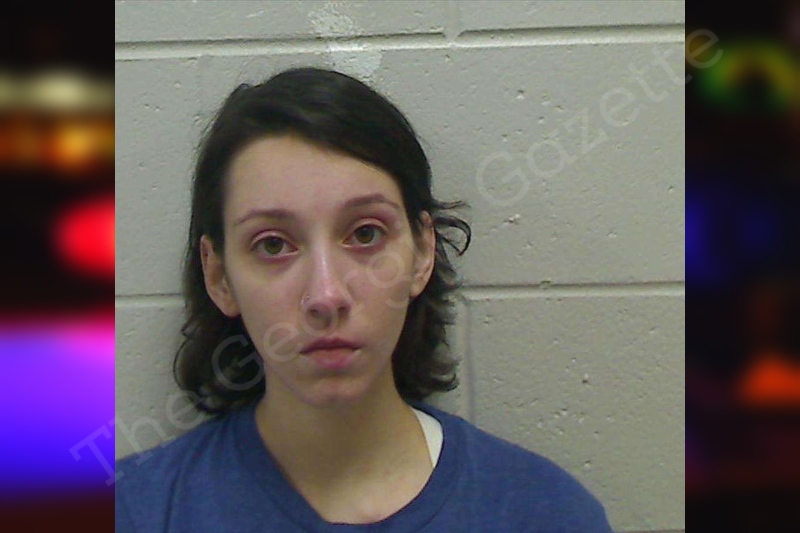 Angelina Levitt — Bulloch County Jail Bookings