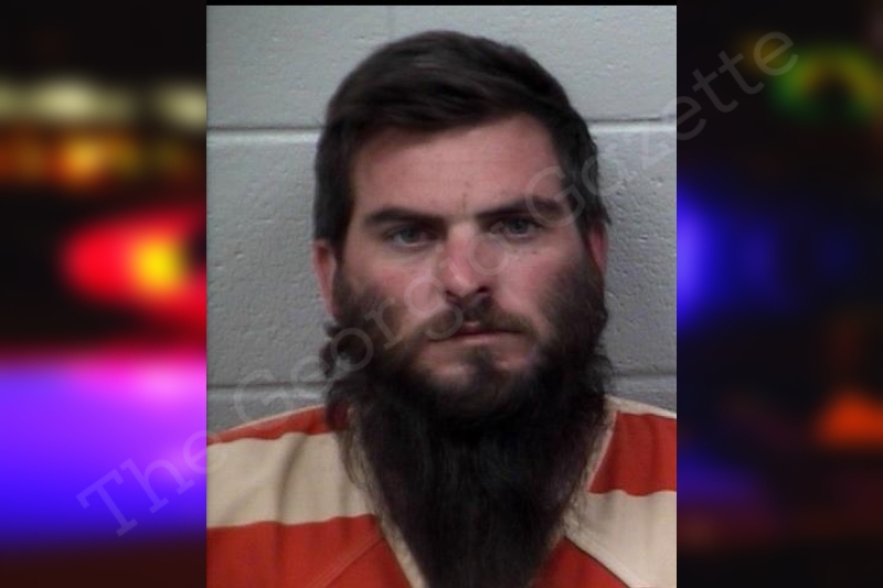 Patrick Lynn — Paulding County Jail Bookings