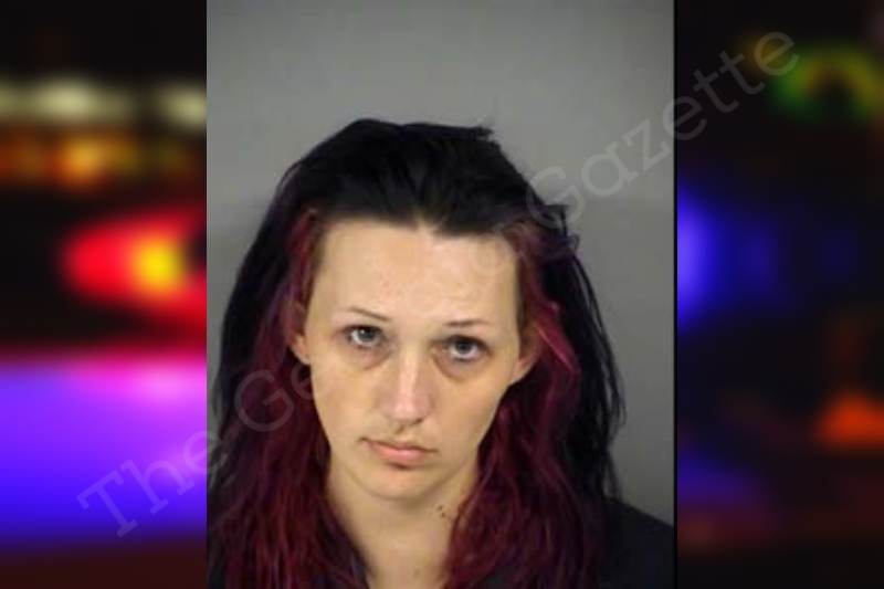 Patricia Mayne — Lowndes County Jail Bookings