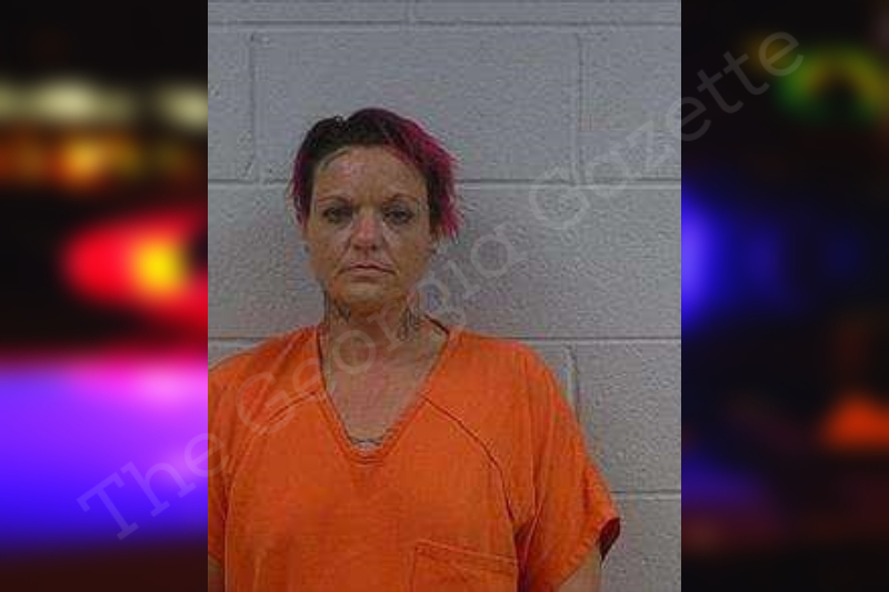 Ashley Meeks — Polk County Jail Bookings