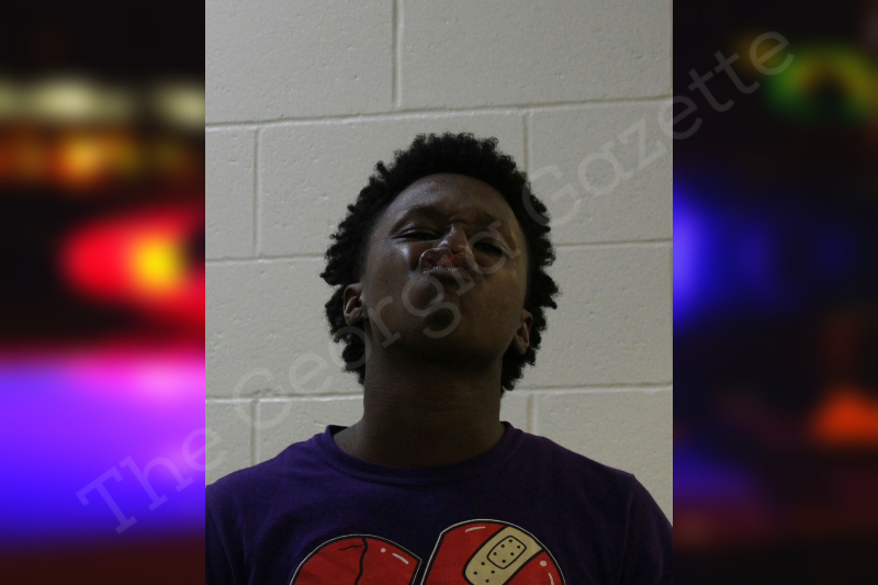 Elisha Mitchell — Houston County Jail Bookings