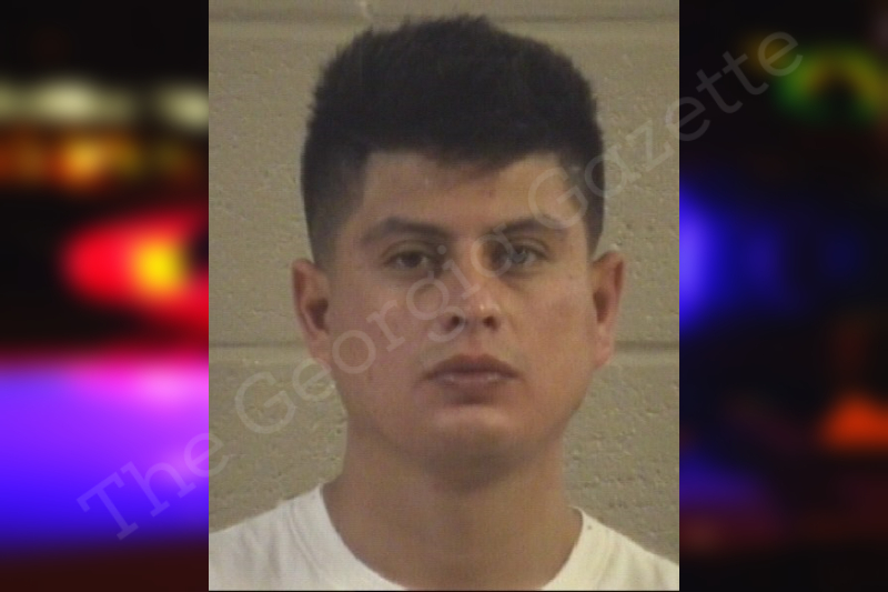 Mario Ayala-blando — Whitfield County Jail Bookings