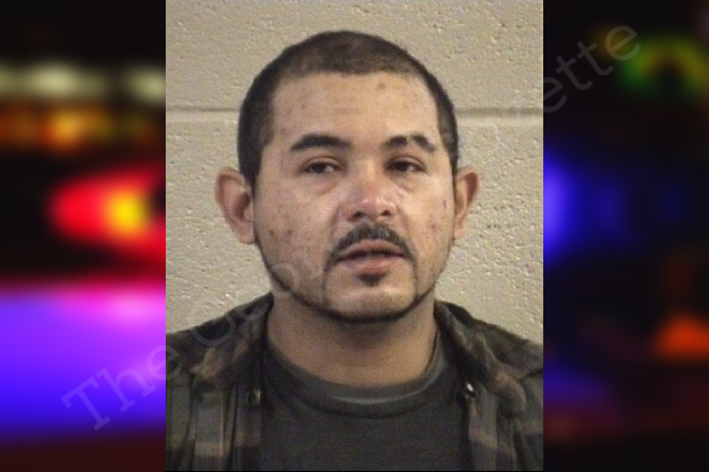 Martin Ortega — Whitfield County Jail Bookings Martin Ortega — Whitfield County Jail Bookings