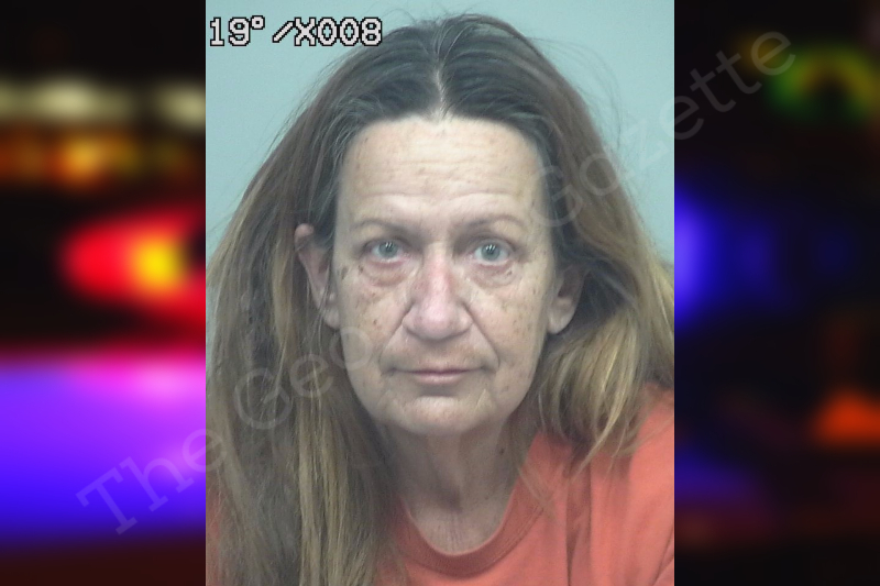 Cynthia Rudell — Gwinnett County Jail Bookings