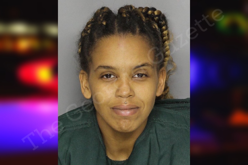Nena Washington — Cobb County Jail Bookings
