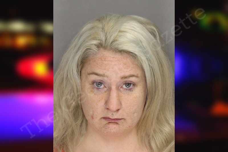 Heather Waters — Cobb County Jail Bookings