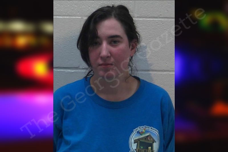 Savanna Watson — Gilmer County Jail Bookings