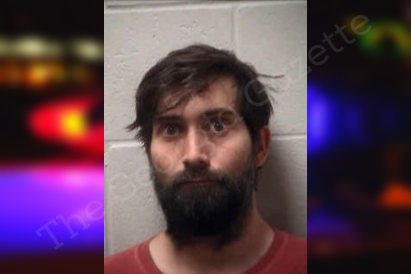 Daniel Angelo — Henry County Jail Bookings