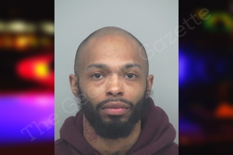 Bryce Anderson — Gwinnett County Jail Bookings