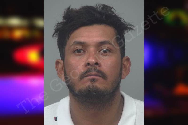 Wilman Ayala Castillo | Gwinnett County