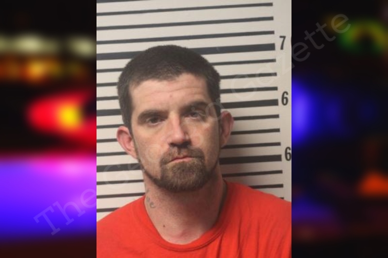 Adam Bailey — Toombs County Jail Bookings