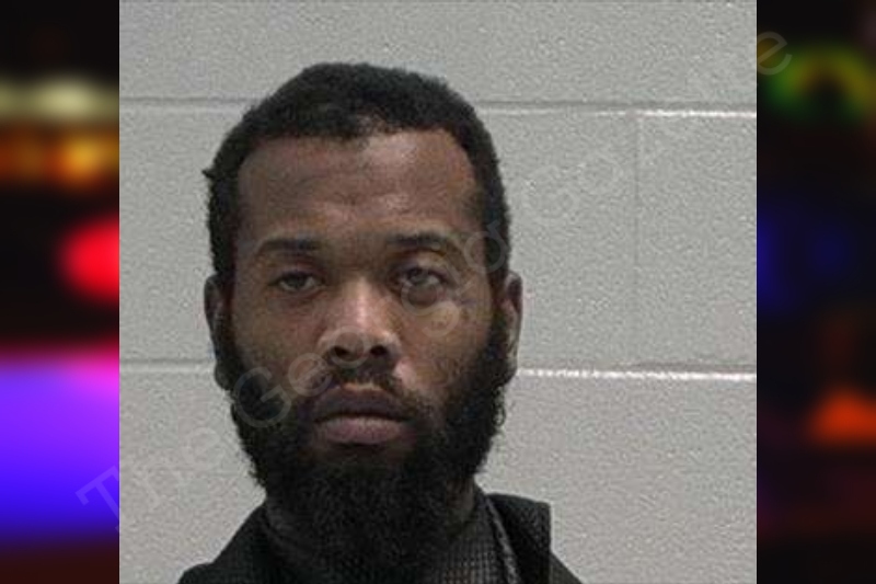 Daylin Birmingham | Carroll County