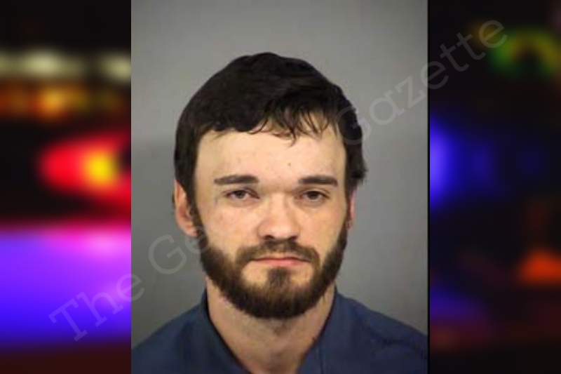 Matthew Bullard — Lowndes County Jail Bookings