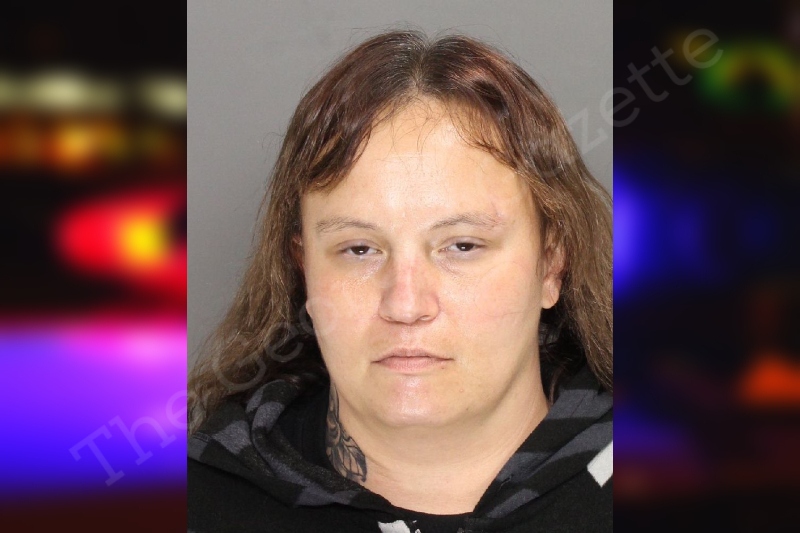 Gina Calvert — Cobb County Jail Bookings