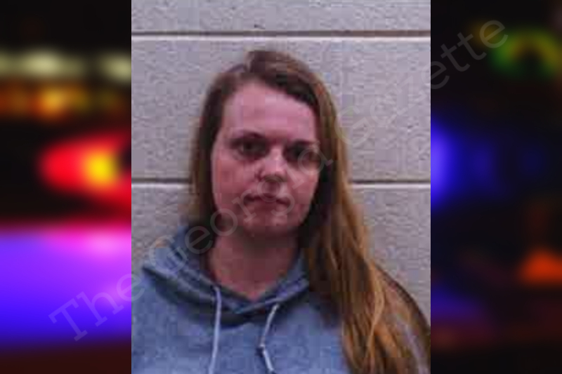Megan Cook — Pickens County Jail Bookings