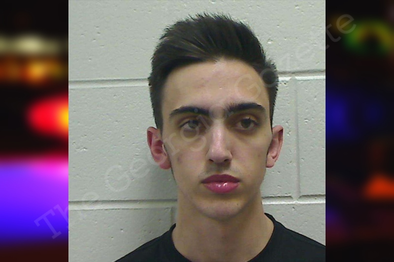 Brandon Dennis — Bulloch County Jail Bookings