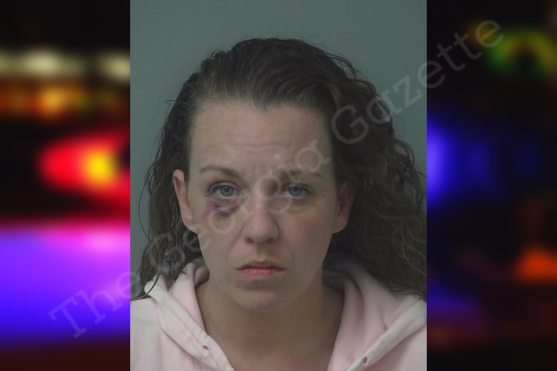 Rachel Gunter — Gwinnett County Jail Bookings