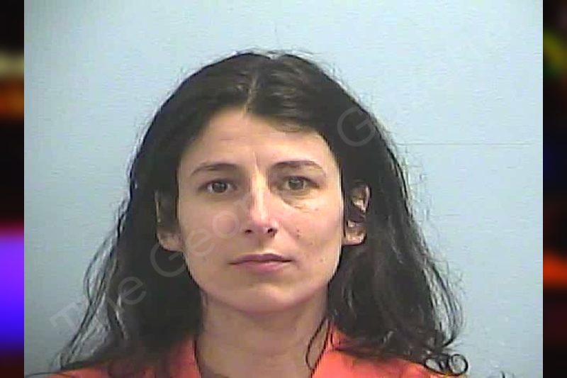 Ana Lee — Dawson County Jail Bookings