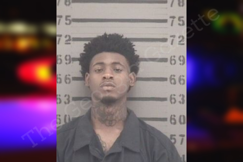 Darrell Lewis — Dougherty County Jail Bookings