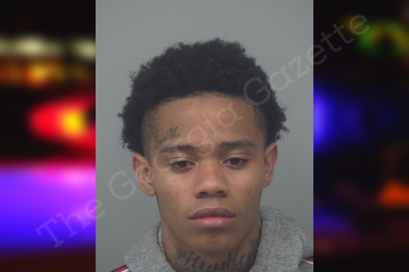 Cameron Lumpkins — Gwinnett County Jail Bookings
