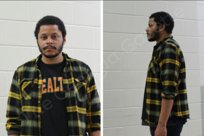 Troy Mccowan — Houston County Jail Bookings