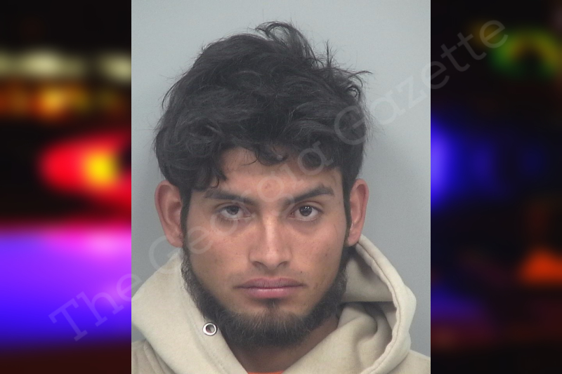 Steven Morales — Gwinnett County Jail Bookings
