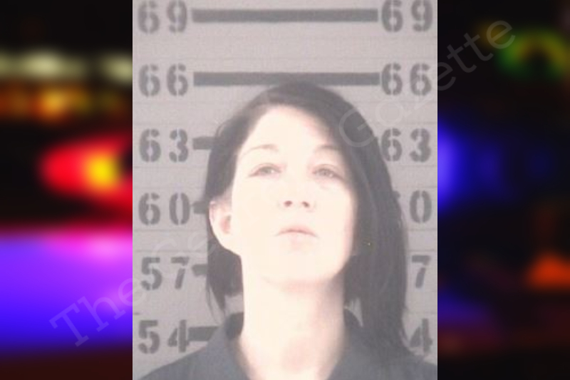 Tiffany Morris — Dougherty County Jail Bookings