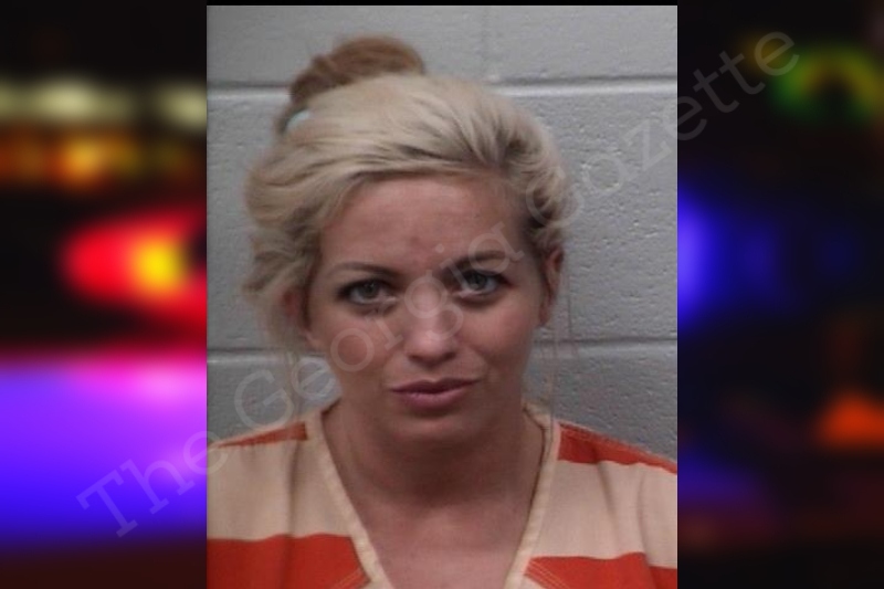 Ashley Riddick — Paulding County Jail Bookings