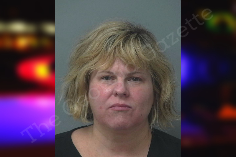 Allison Riley — Gwinnett County Jail Bookings