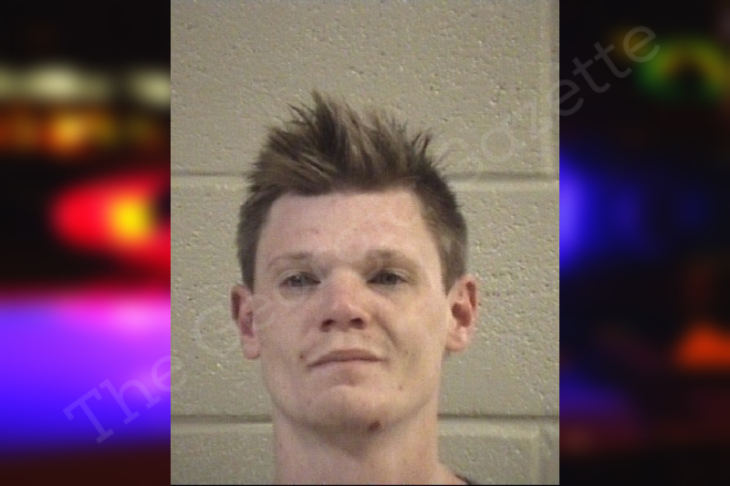 Raven Wilkins — Whitfield County Jail Bookings