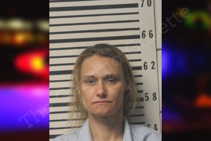 Amanda Seagraves — Toombs County Jail Bookings