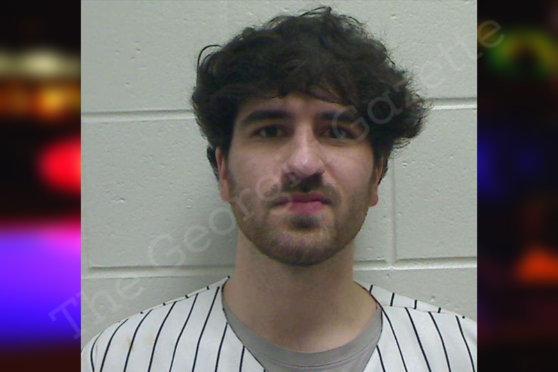 Cole Snellgrove — Bulloch County Jail Bookings