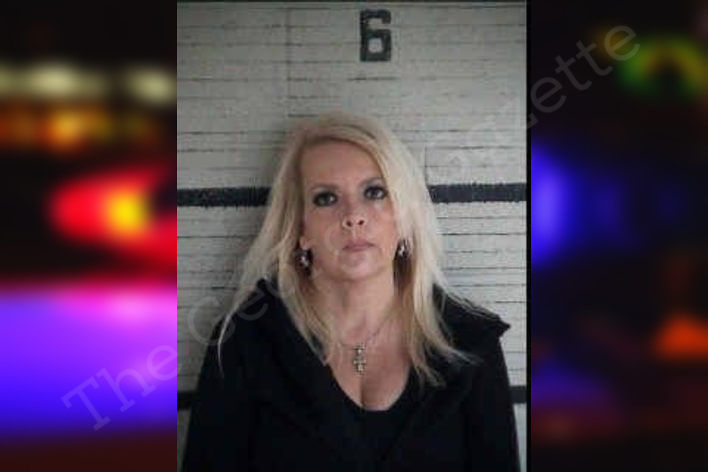 Michelle Swim — Fannin County Jail Bookings