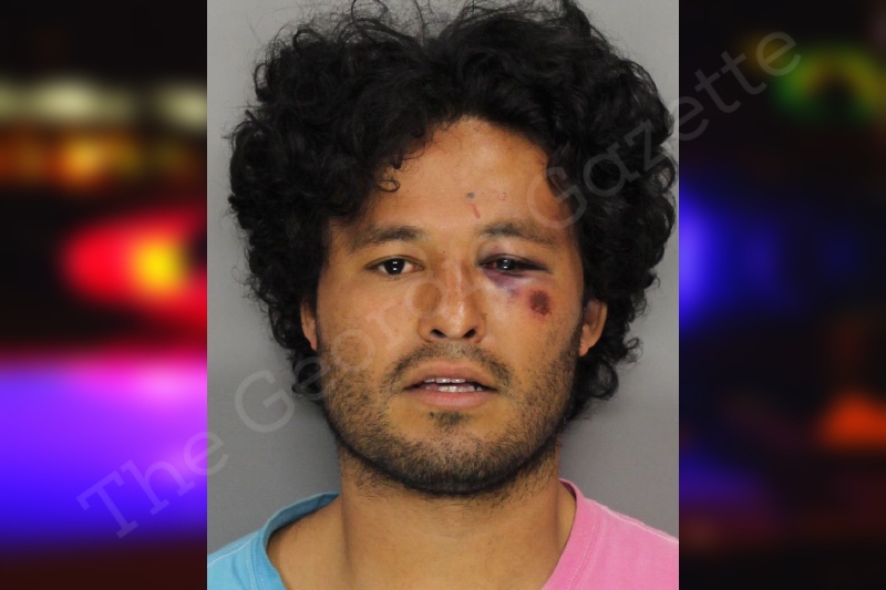 Angel Thompson — Cobb County Jail Bookings